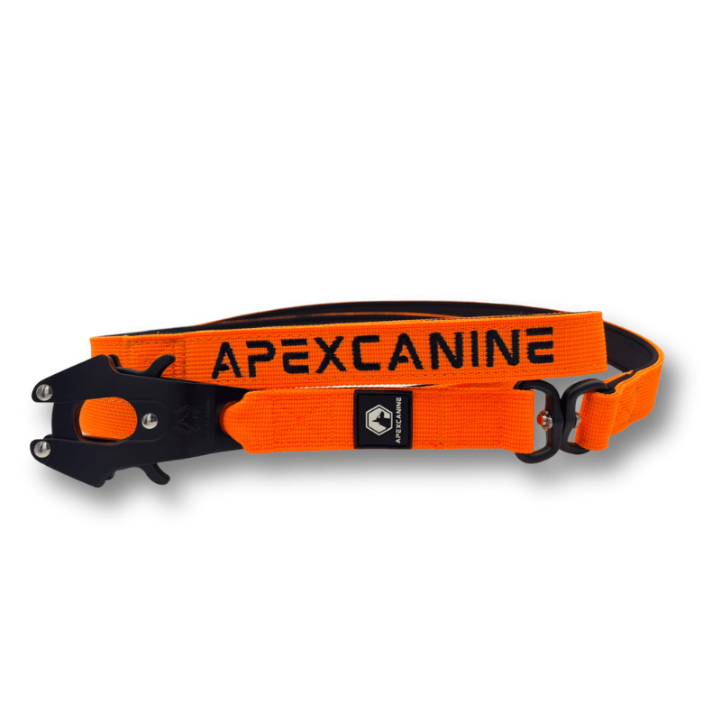 1.4m Tactical Swivel Lead - Orange – ApexCanine